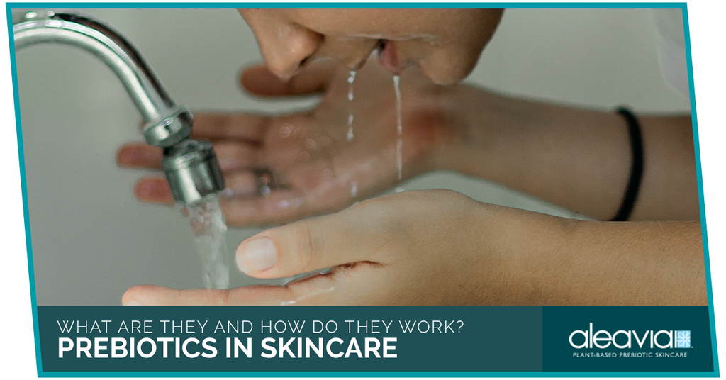 Prebiotics in Skincare: What Are They and How Do They Work? – Aleavia