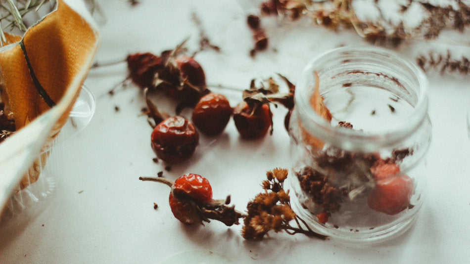 Rosehip Oil for Face: What it is, the Benefits, and How to Use it – Aleavia